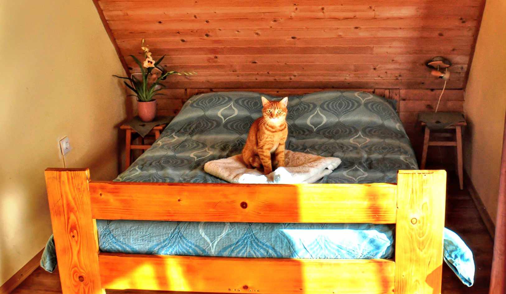 Guest house and camp Jelinc